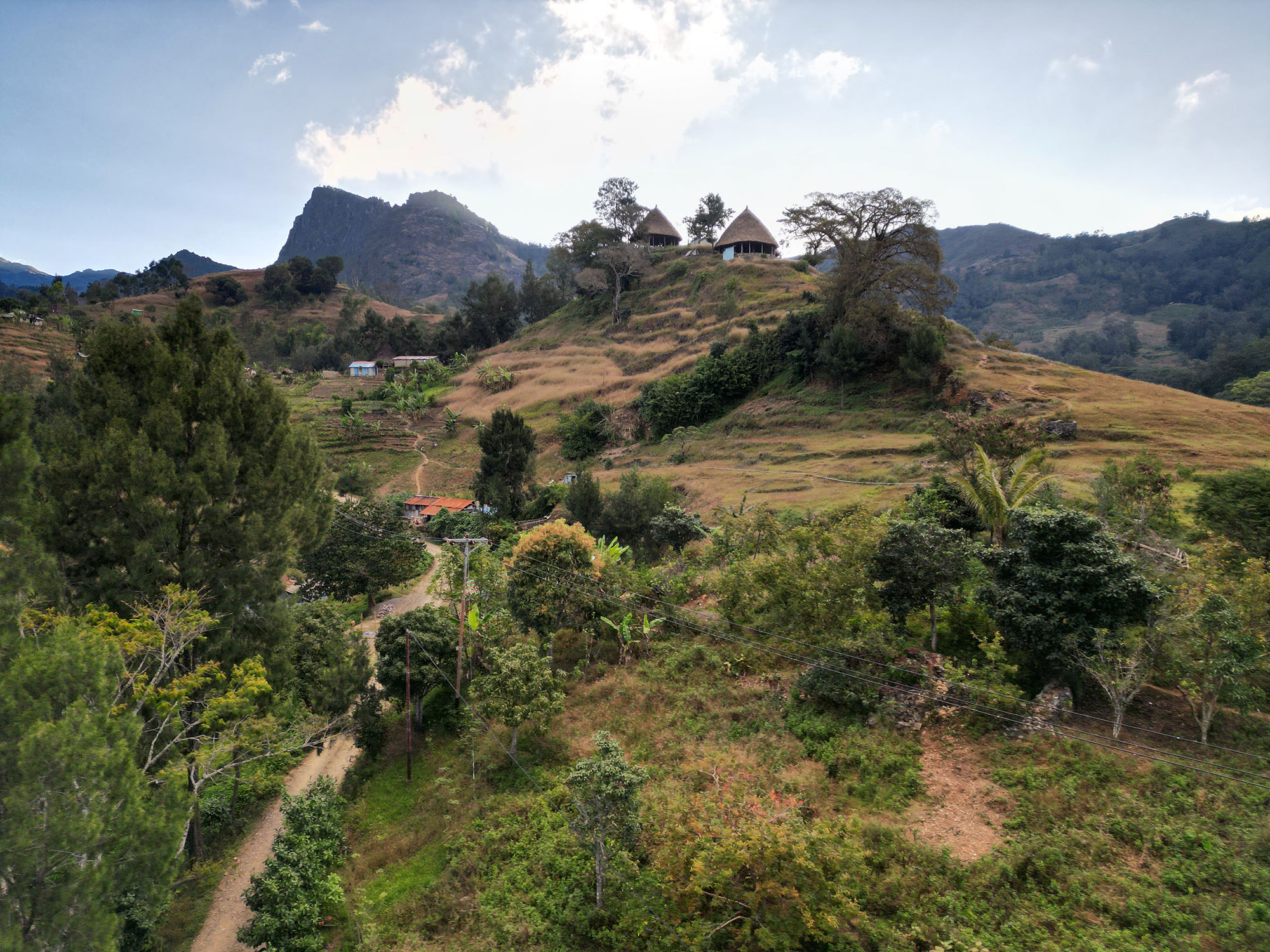 HABURAS FOUNDATION – Protecting and regenerating land and environment ...